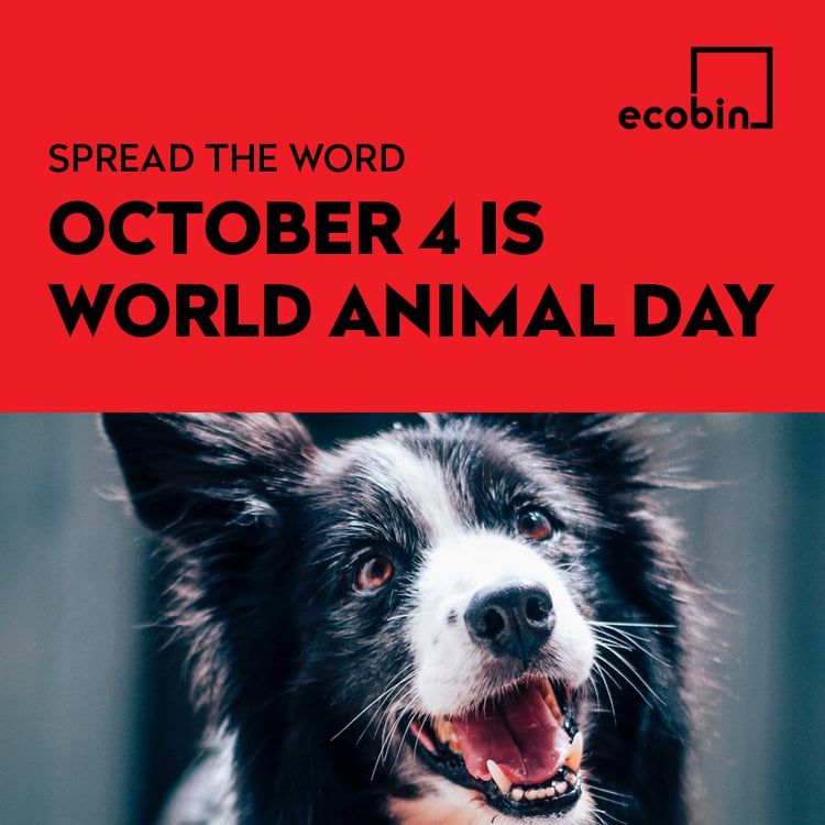 World Animal Day | Ecobin Australia