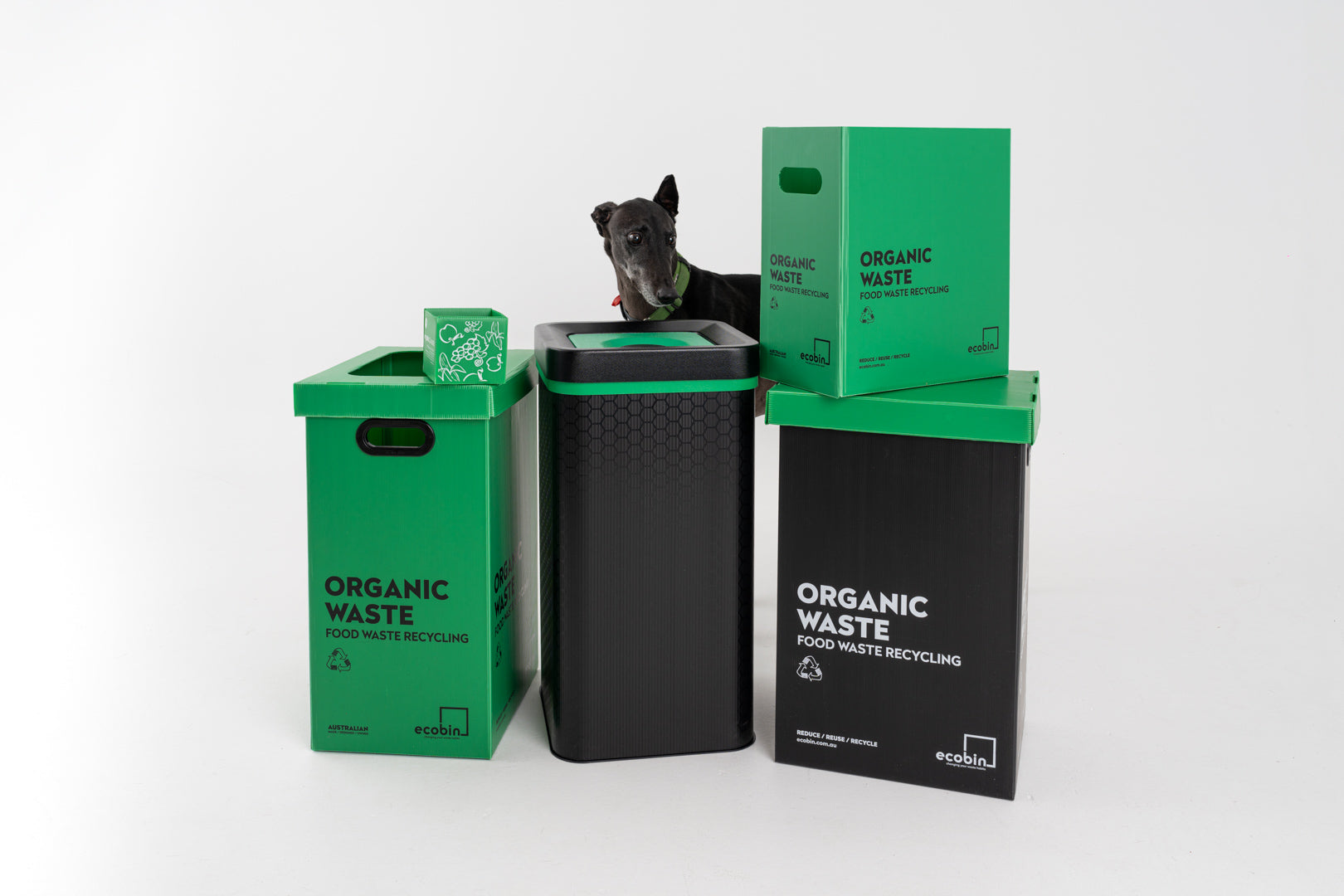 Buy Green Recycling Bins | Organic Waste Bins Online | Ecobin | Ecobin ...